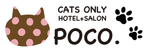 猫専門ペットホテルPOCO.（ポコドット）/江東区扇橋・住吉駅徒歩9分 | 【江東区の猫専門トリミングサロン・ペットホテル】住吉駅徒歩9分 ...